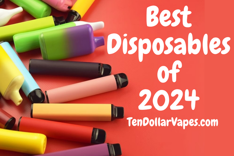 Best Disposable Vapes of 2024 – TenDollarVapes